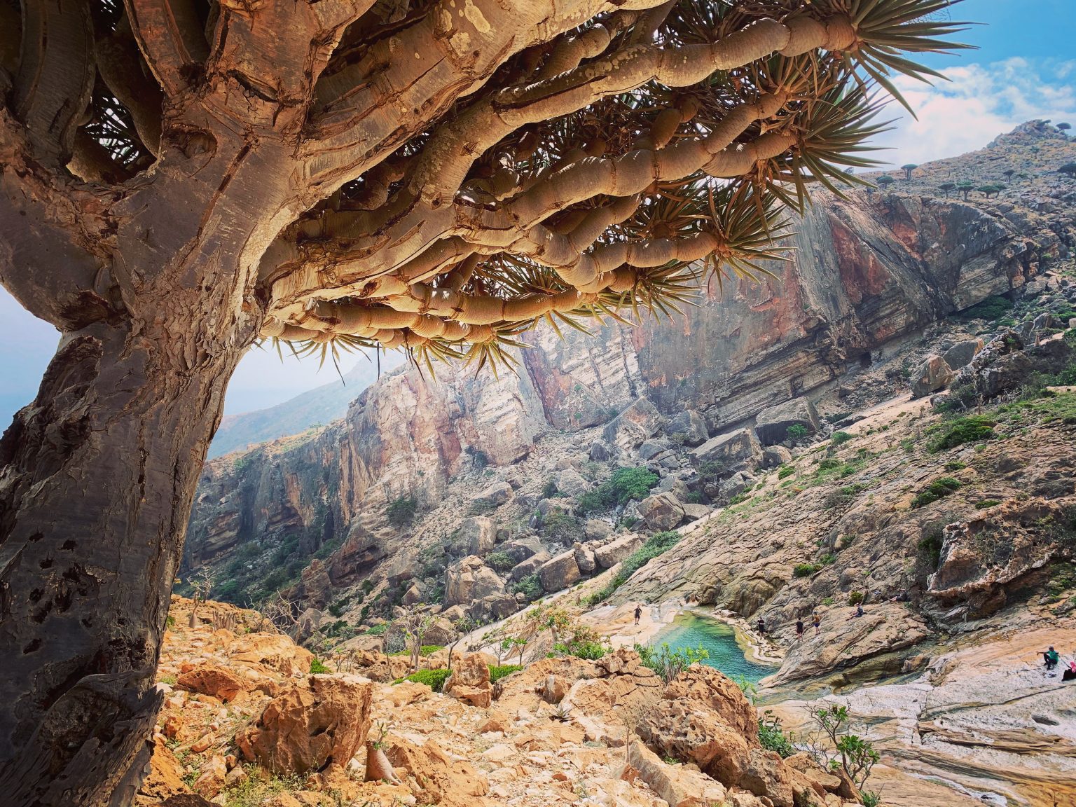 Tours to Socotra (2024). Travel with me to Socotra in April!