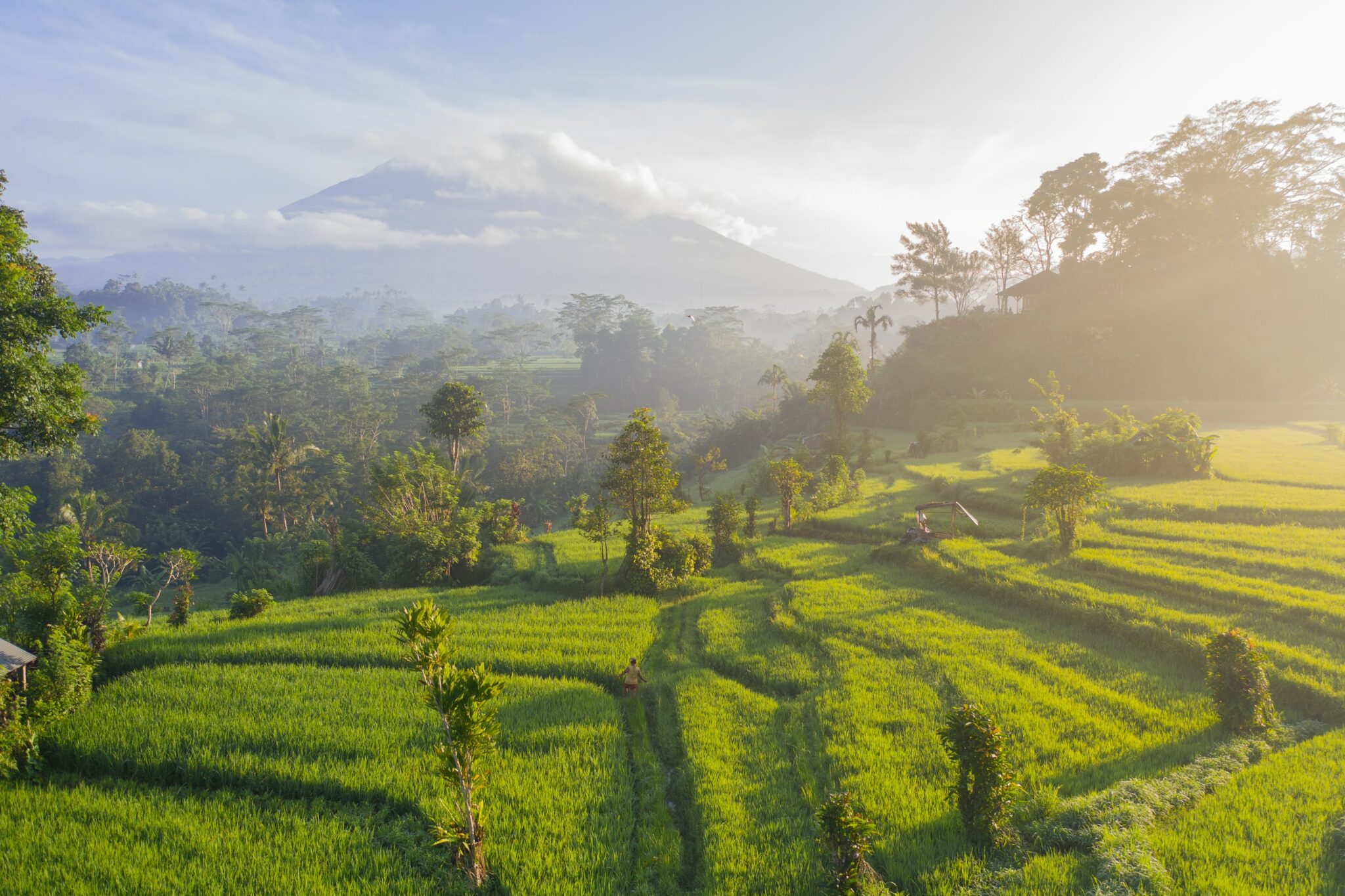 Is Bali A Country? Or is it an Island? Or A City? I've got you!