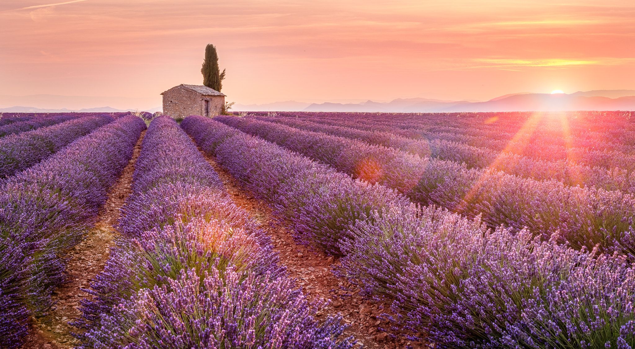 5 Best Places To Visit In Valensole 2021