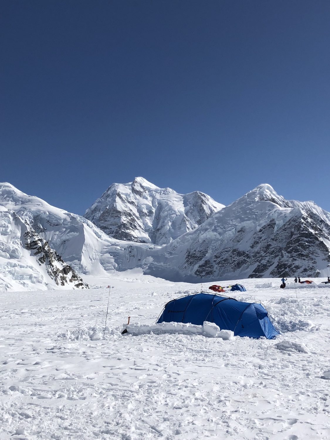 Climbing Denali; EVERYTHING to Know & MY Experience