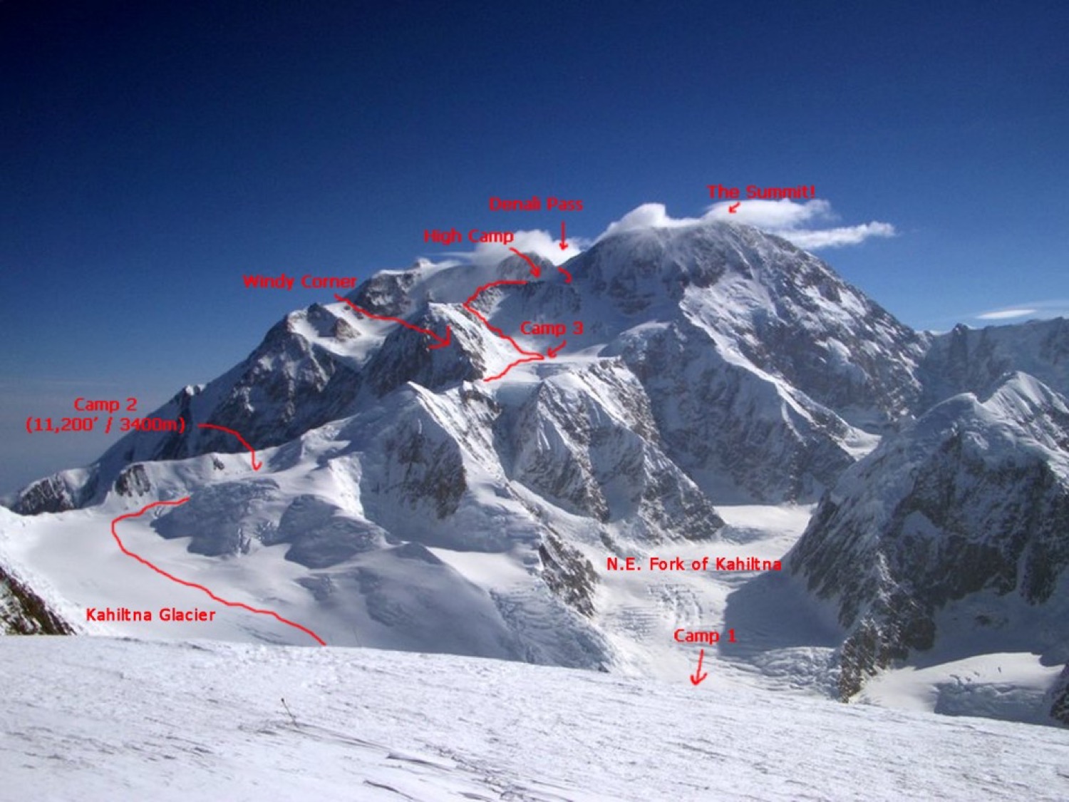 Climbing Denali; EVERYTHING to Know & MY Experience