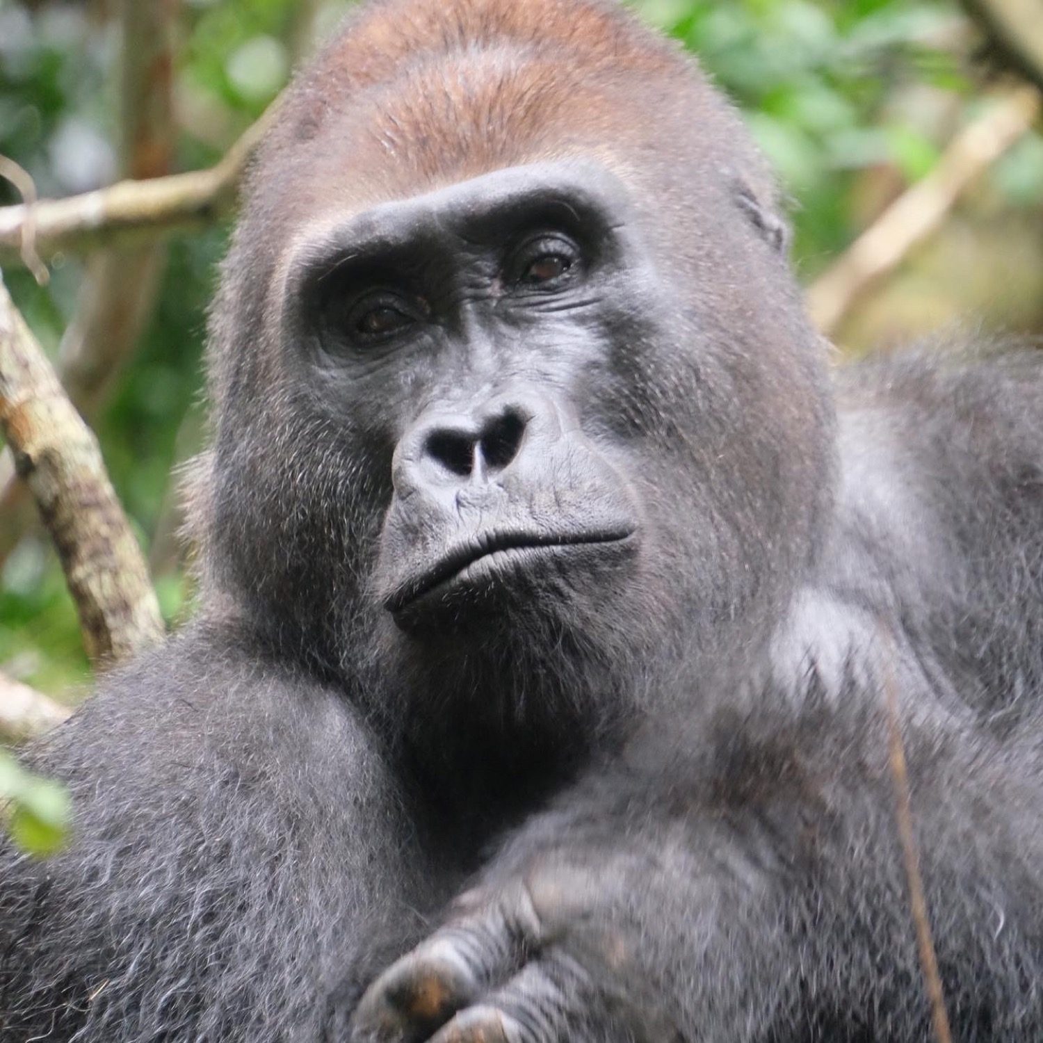 My 2022 Year Recap; Money, travels, adventure, fitness and life