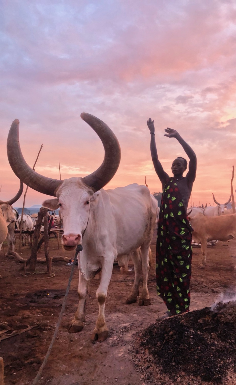 South Sudan Travel; Staying with the Mundari Tribe